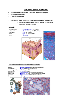 2 Basiswissen exokrine Drüsen - 1 1.1. Drüsengewebe Basiswissen Das ...
