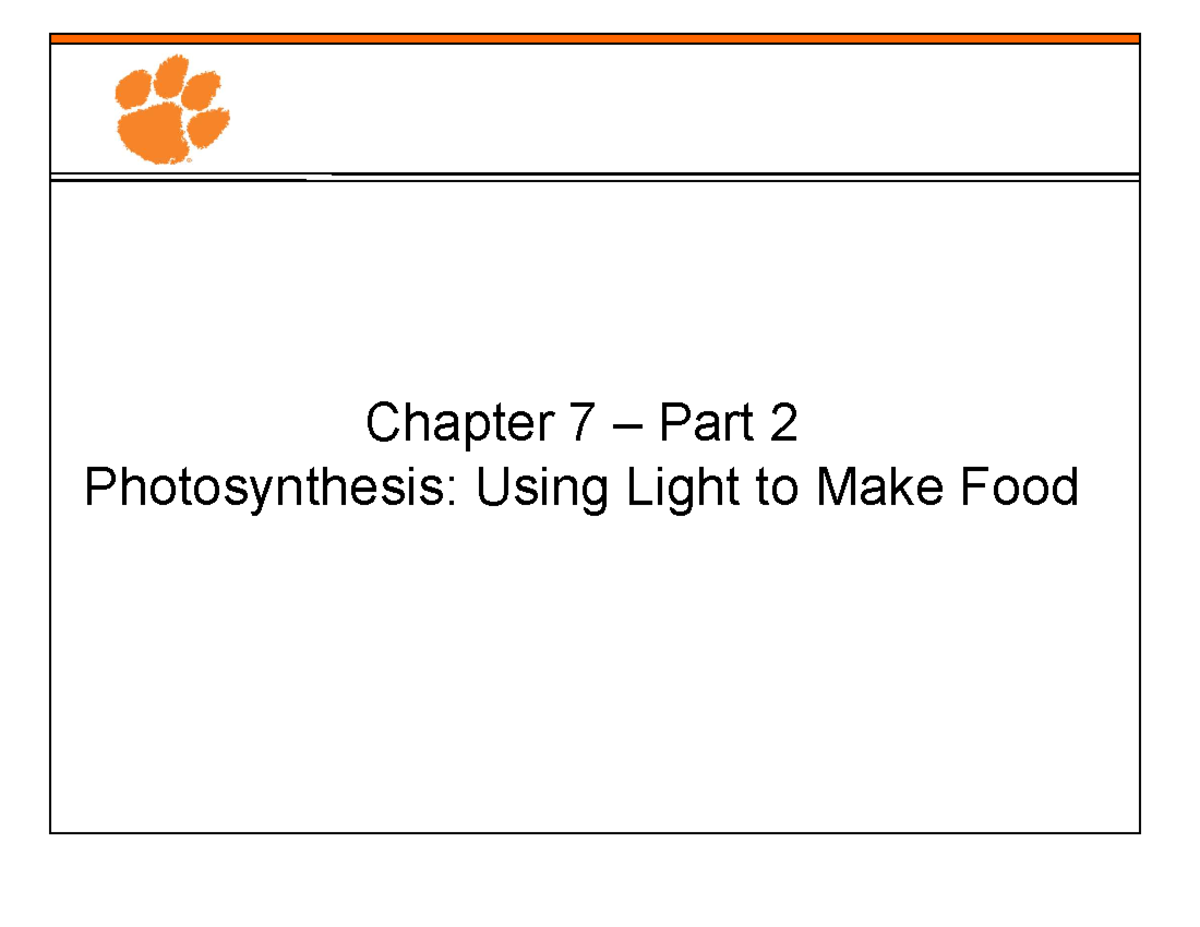 Chapter 7 Pt 2 Notes for BIOL 104 0 - Chapter 7 – Part 2 Photosynthesis ...