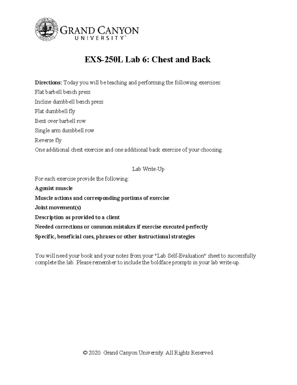 EXS 250L-RS-Lab6-Chestand Back - EXS-250L Lab 6: Chest and Back ...