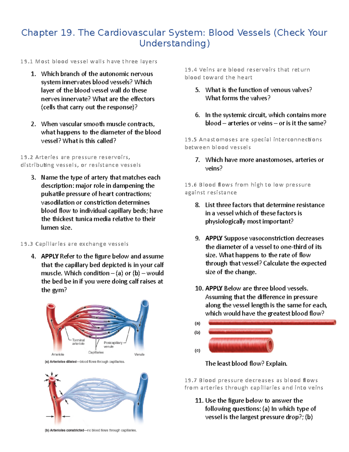 Chapter 19. (Check Your Understanding Questions) - Chapter 19. The ...