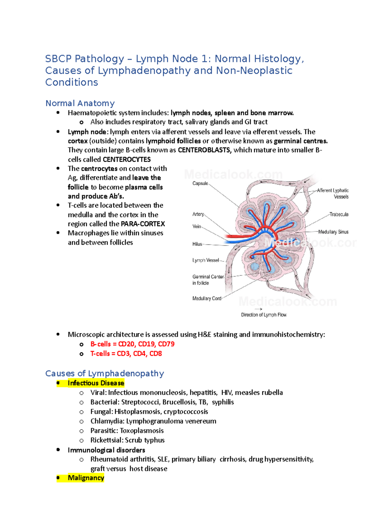 Lymph Node Pathology 1-3 - SBCP Pathology – Lymph Node 1: Normal ...
