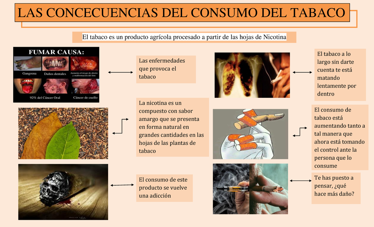 Infografia(Tabaquismo) - LAS CONCECUENCIAS DEL CONSUMO DEL TABACO Las ...