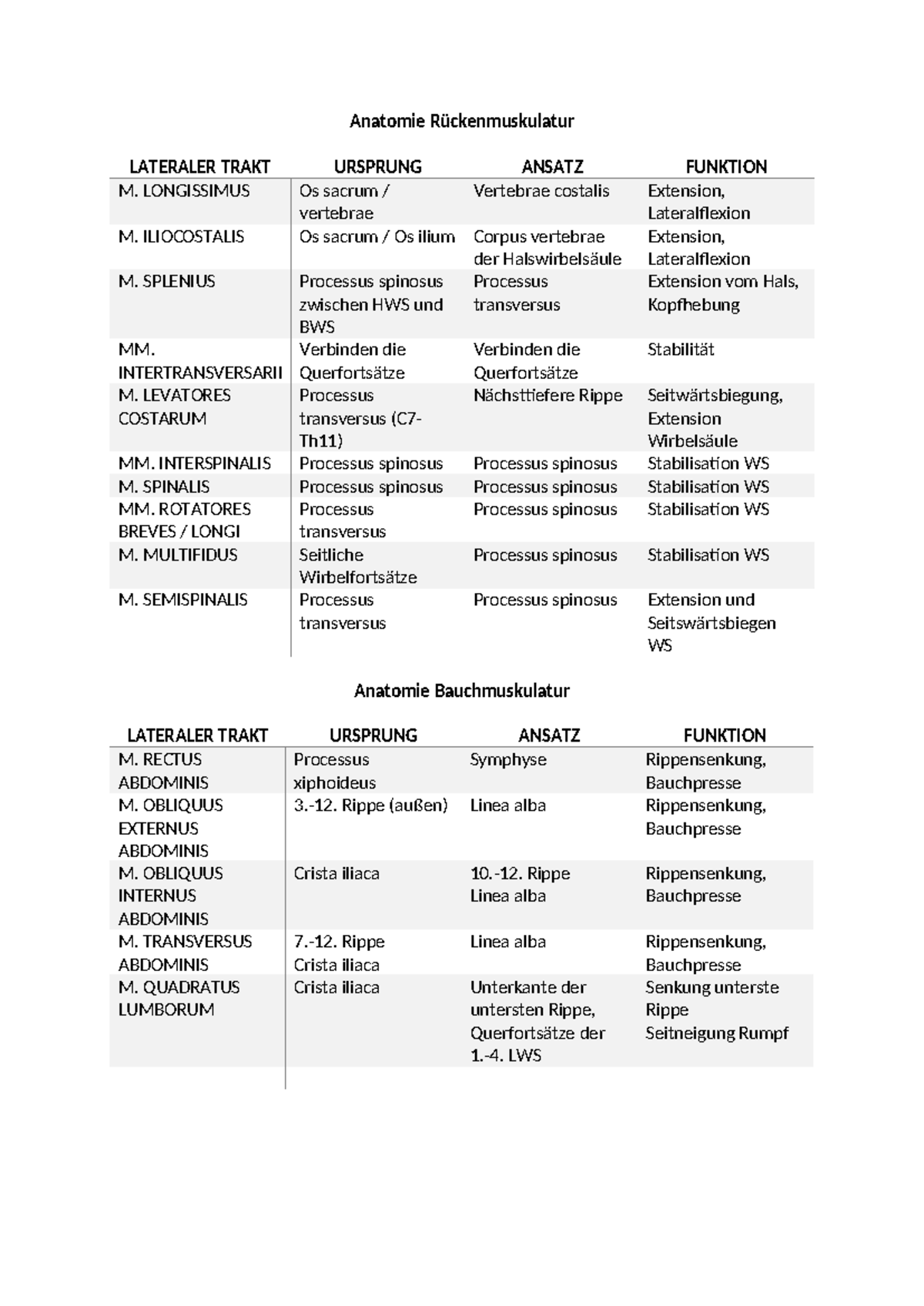 Anatomie Rücken, Bauch, Hals, Schulter - Anatomie Rückenmuskulatur ...