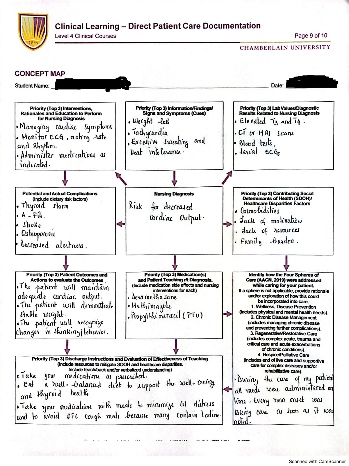 NR 442 Concept MAP 3 Clinical - Clinical Learning Direct Patient Care ...