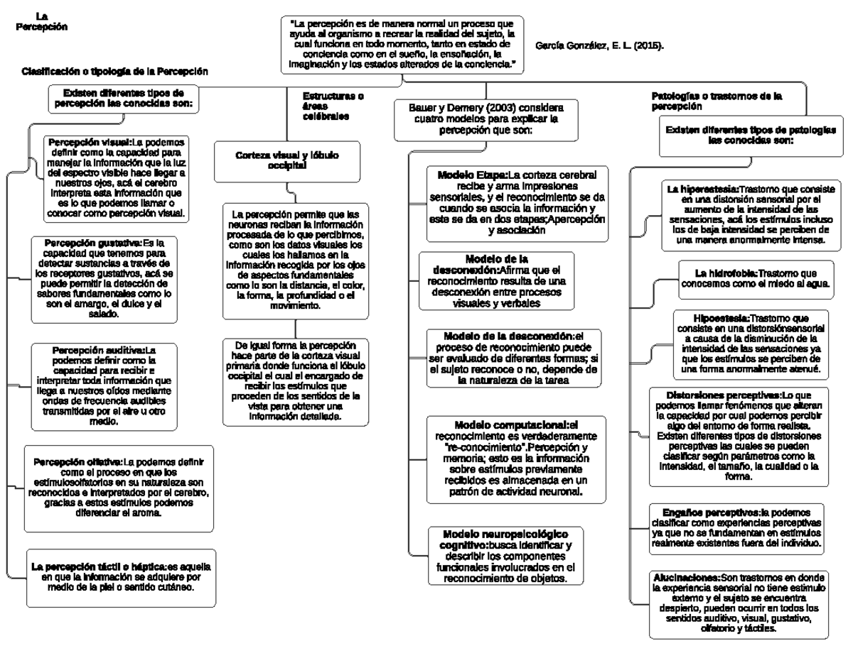 Mapa de Percepción que es la percepción y áreas implicadas ...