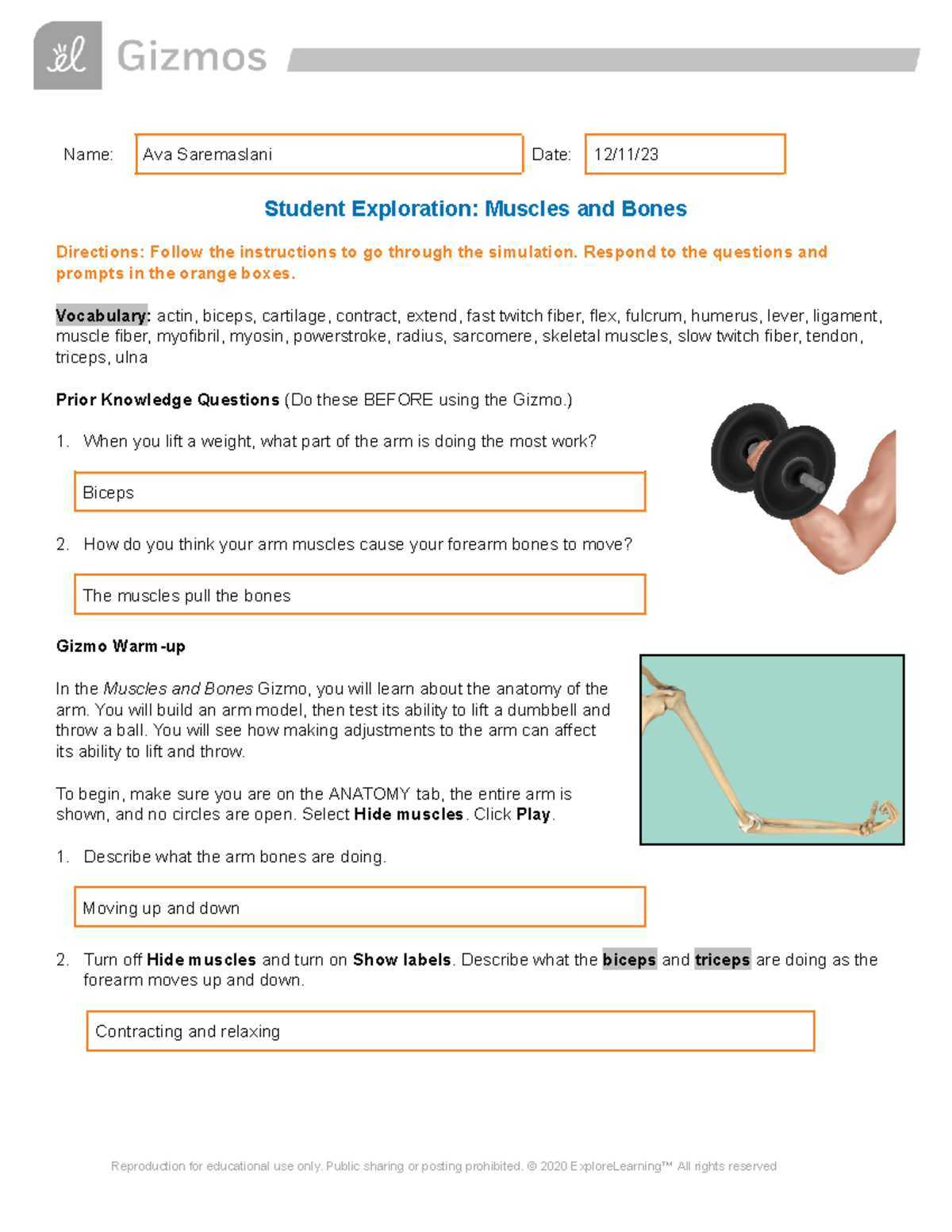Muscles Bone Worksheet - Name: Ava Saremaslani Date: 12/11/ Student ...