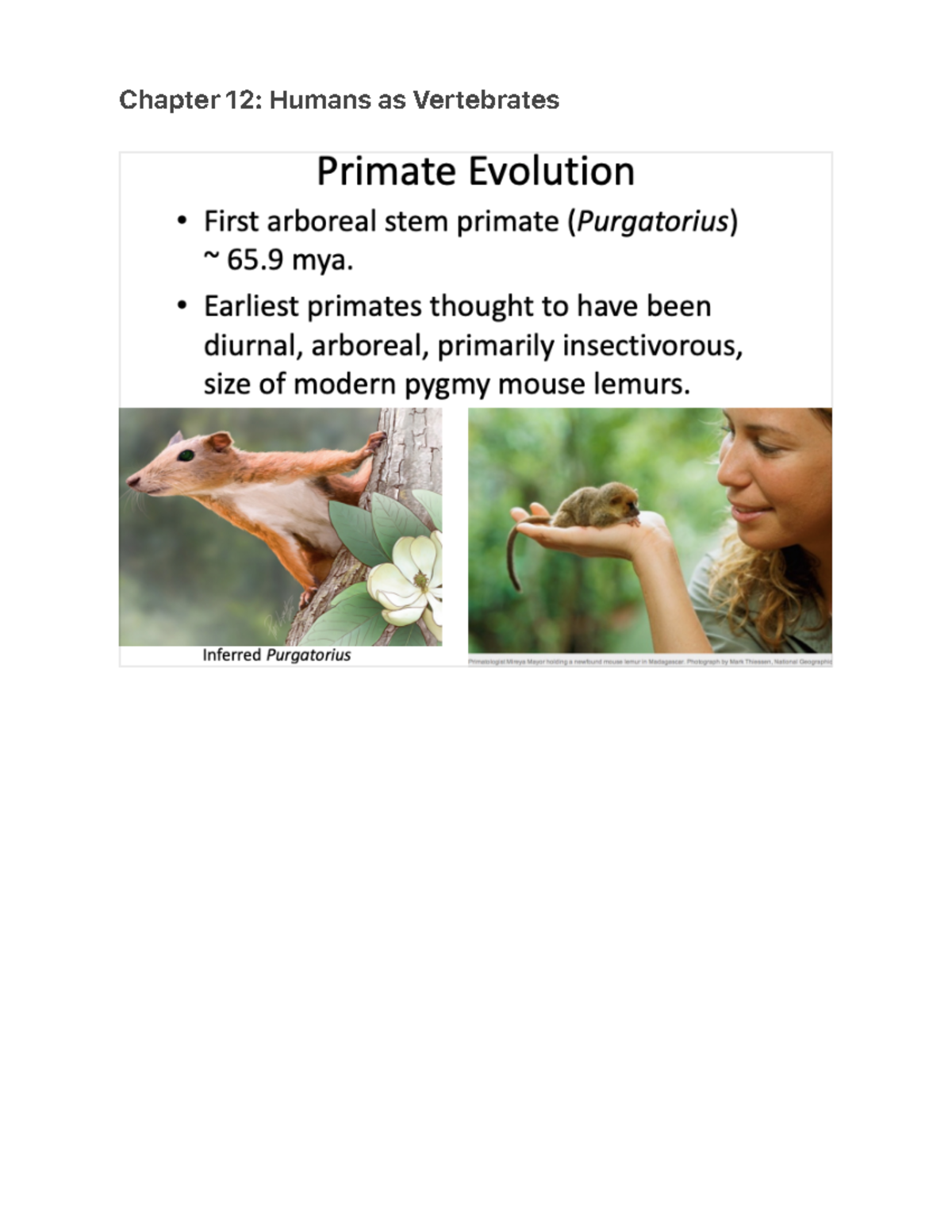 Chapter 12- Humans as Vertebrates - Chapter 12: Humans as Vertebrates ...