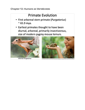 Vert Bio Syllabus 2022 - VERTEBRATE BIOLOGY (Biol 456) Fall 2022 Course ...