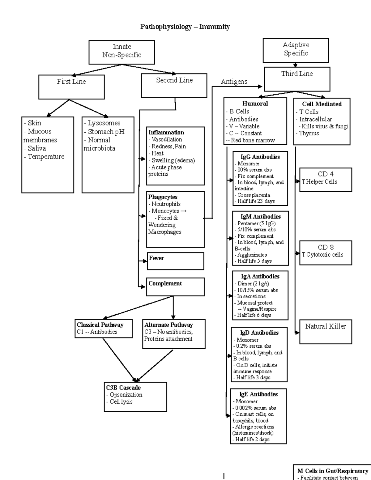 Immunity diagram - Summary of immune system - Pathophysiology ...