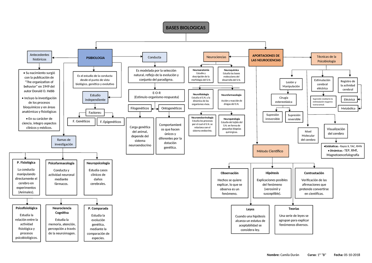 Bases biologicas mapa - BASES BIOLOGICAS PSIBIOLOGIA APORTACIONES DE ...