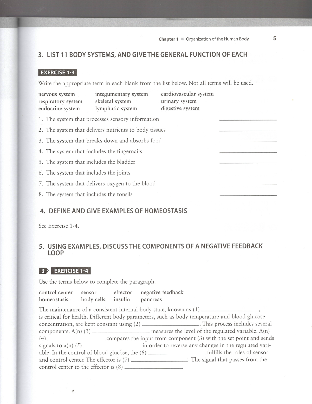 AP5 - AP WORKSHEETS - Chapter 1 Organization of the Human Body 5 3 ...