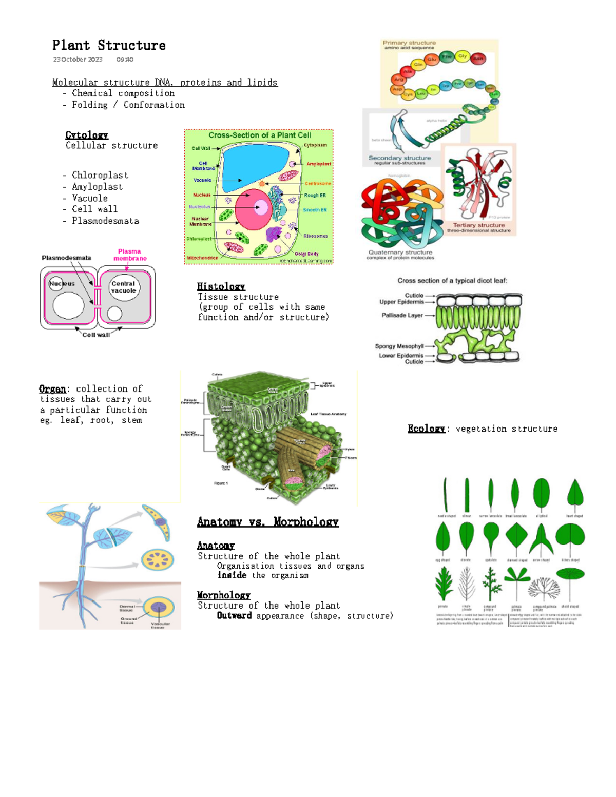 BL1004 Plant Structure - Molecular structure DNA, proteins and lipids ...