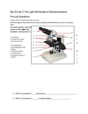 Bio 33 New Lab 1 Lab Report-1 Updated - Bio 33 New Lab 1 Lab Report ...