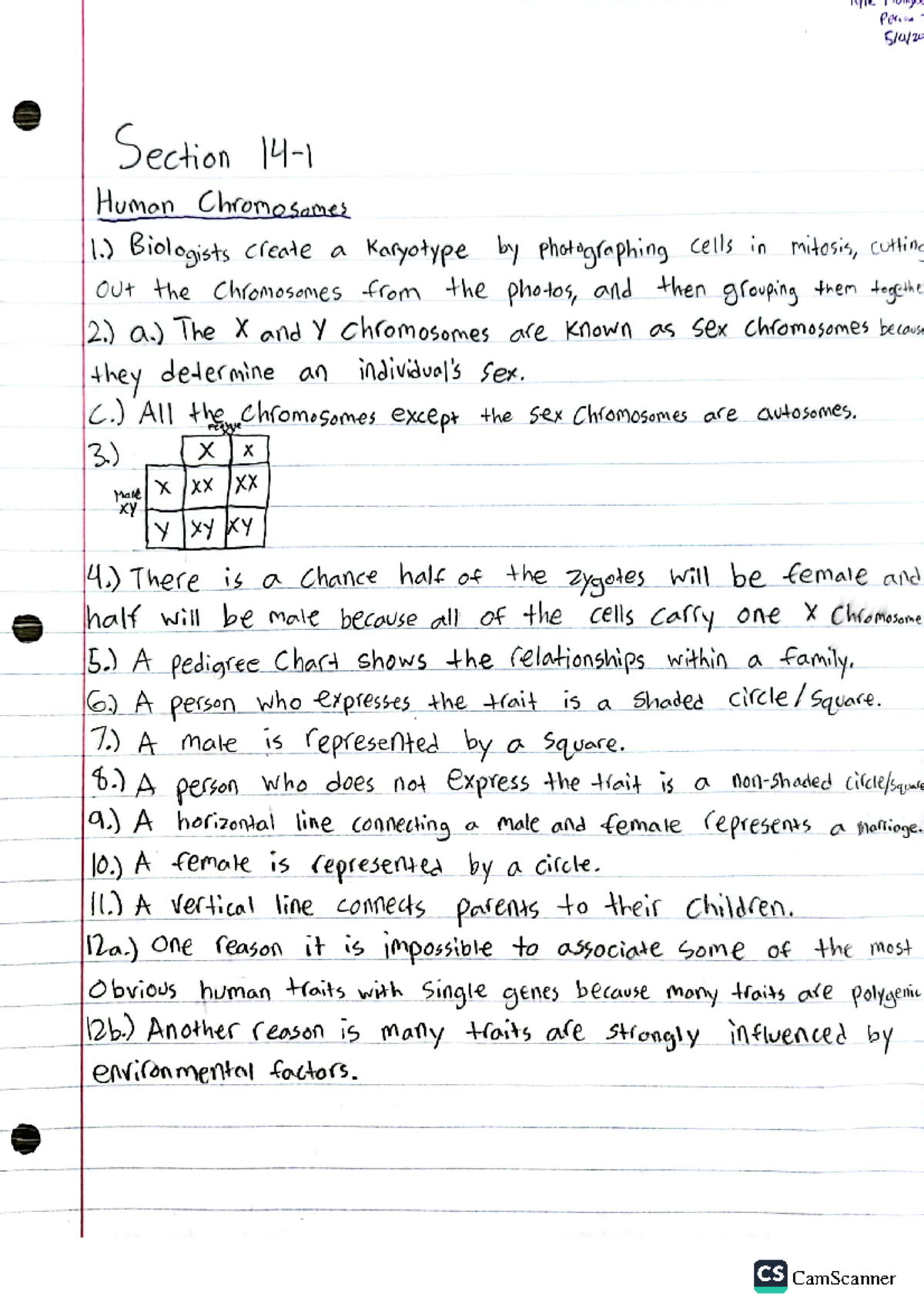 Section 14-1 Guided Reading - CamScanner CamScanner - Studocu