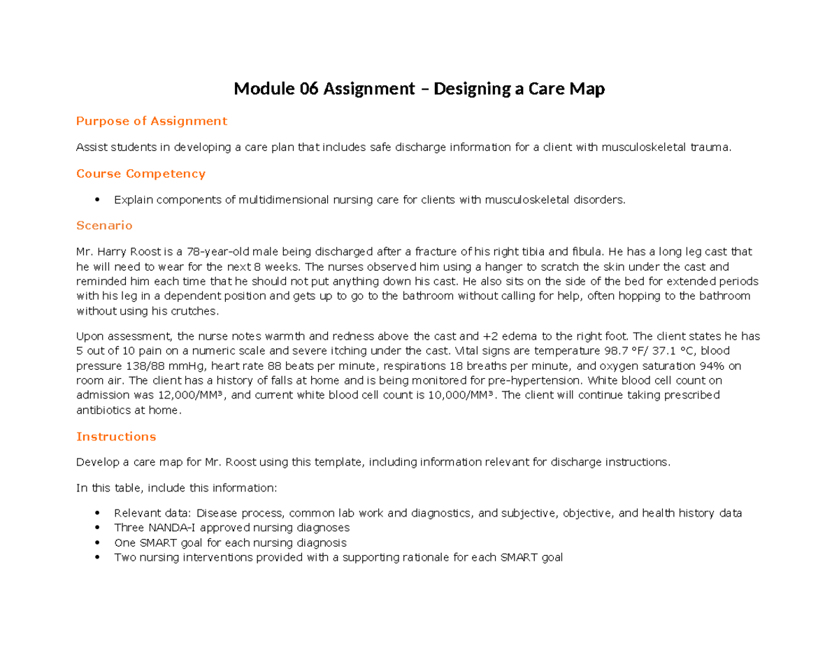 NUR2356 Module 06 Assignment v23 - Module 06 Assignment – Designing a ...