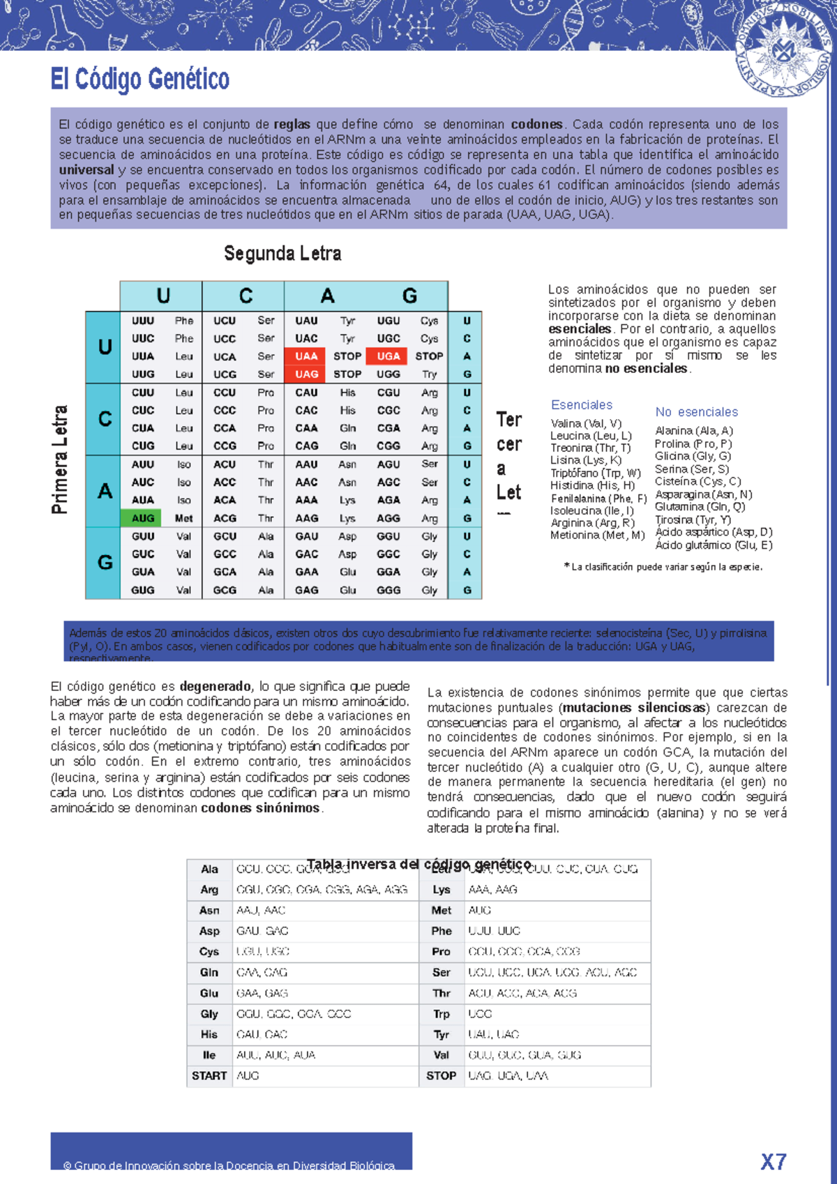 X El código genético - Completo. - El Código Genético Segunda Letra Los ...