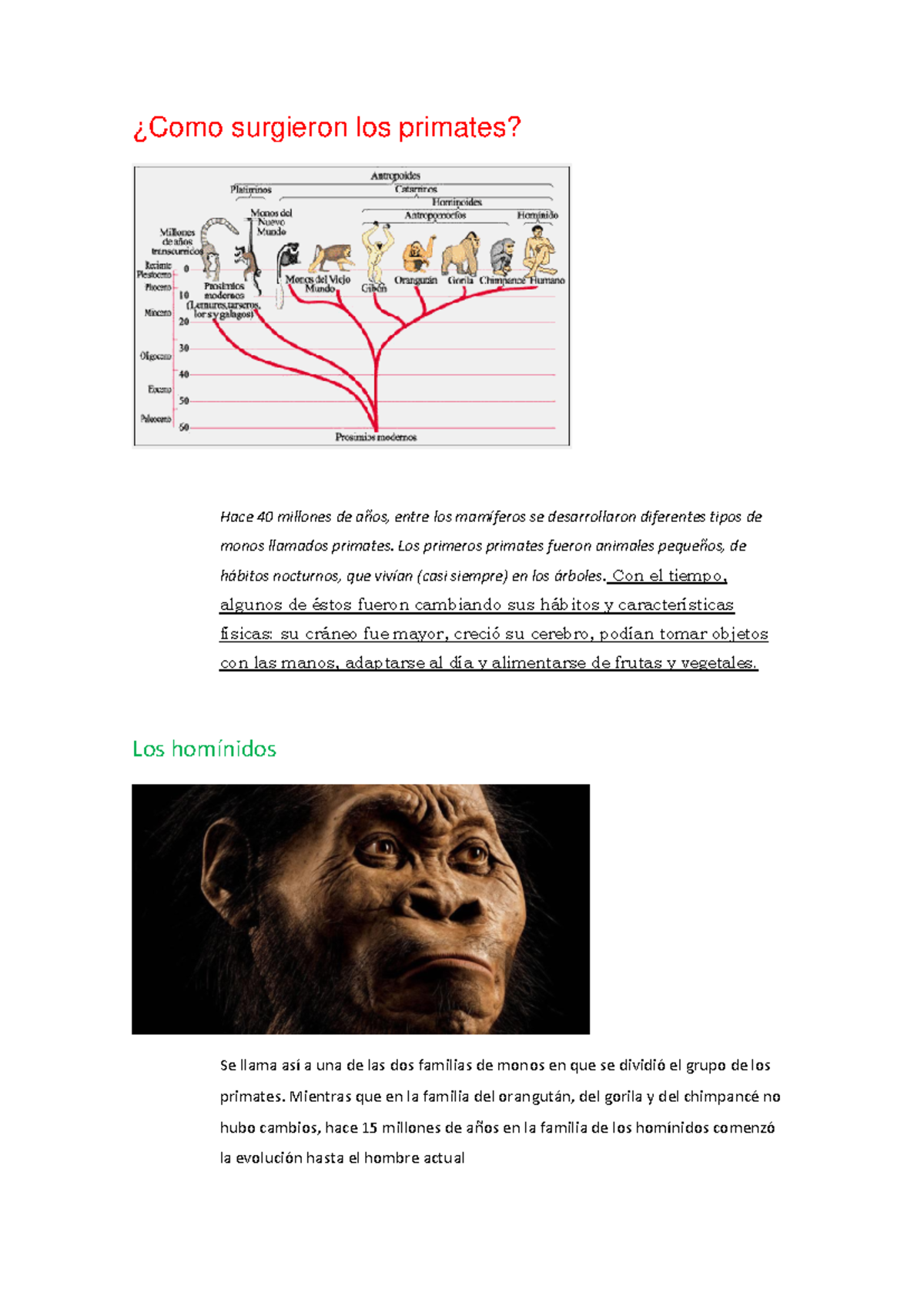 Anexo 1 P - Notas - ¿Como surgieron los primates? Hace 40 millones de ...