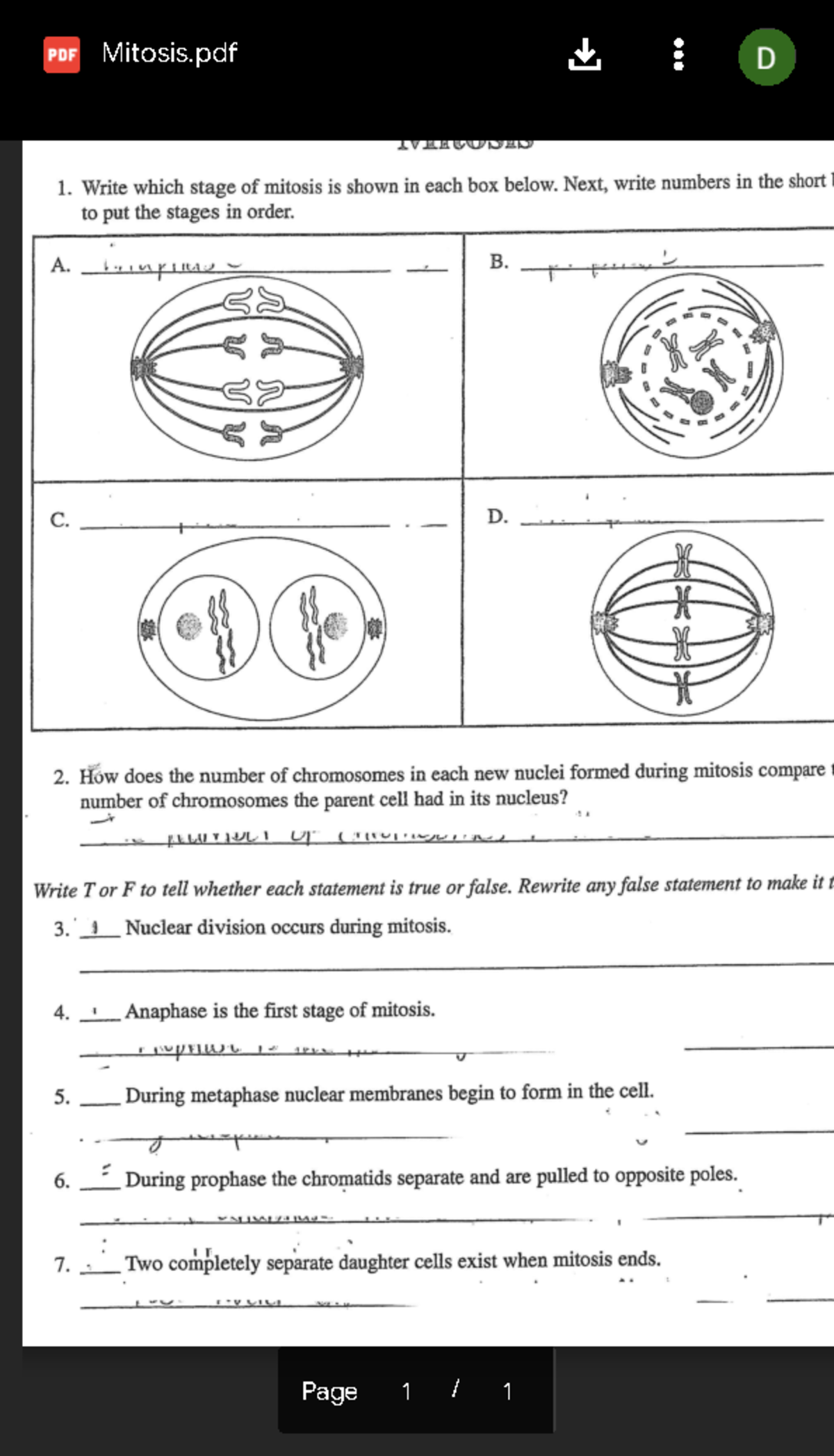 Mitosis.pdf - Google Drive - Page 1 / 1 Mitosis - Studocu