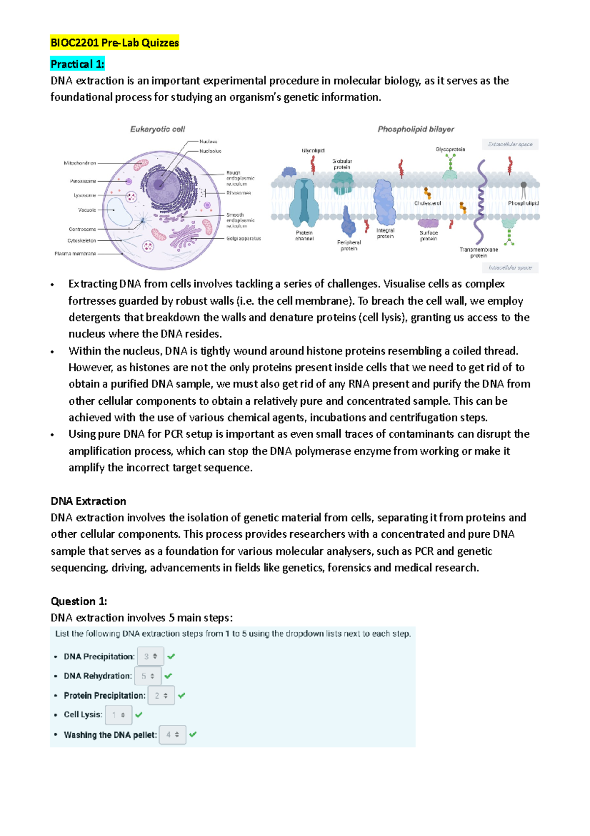 BIOC2201 Pre lab Quizzes - Practical 1: DNA extraction is an important ...