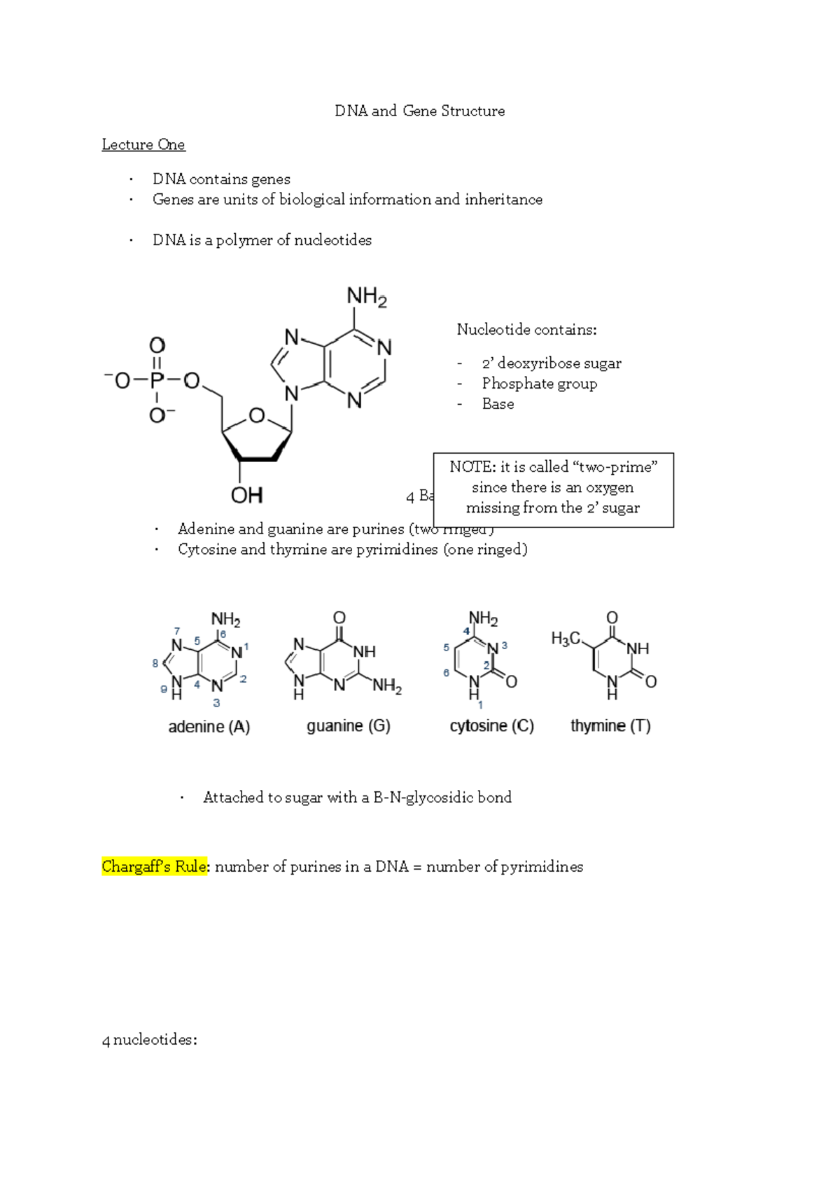 DNA and Gene Structure - Notes on evidence for evolution by natural ...