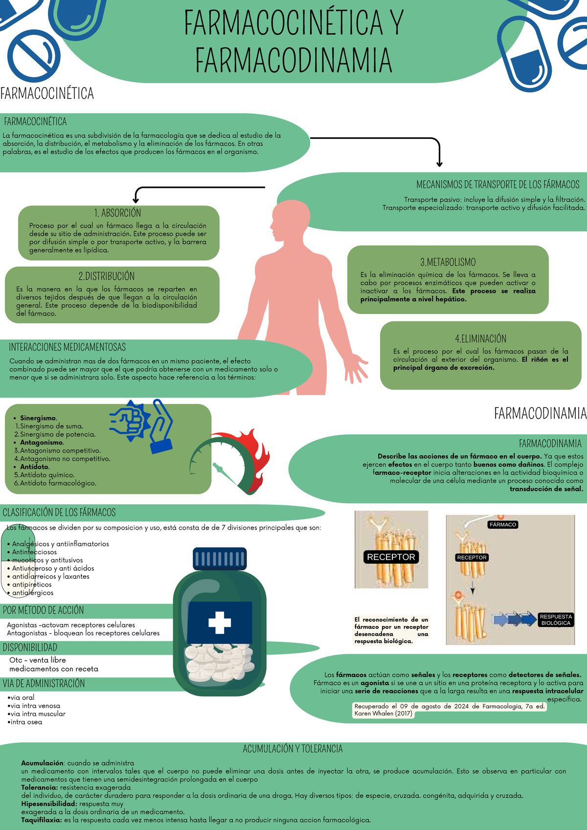 Farmacocinética Farmacodinamia - 3 Es la eliminación química de los fármacos. Se lleva a cabo ...