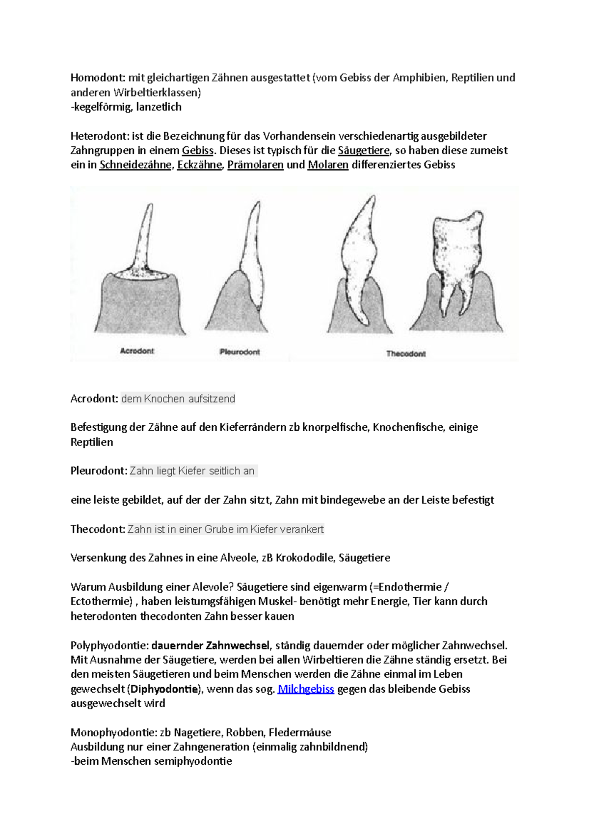 Homodont - Dieses ist typisch für die Säugetiere, so haben diese ...