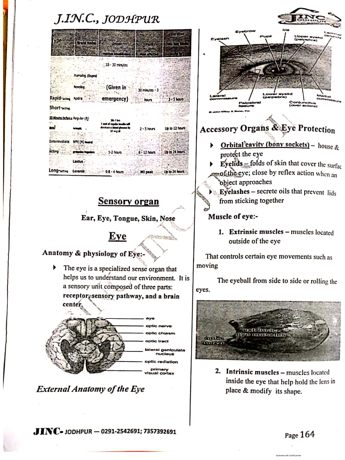 Jinc ent new - These are ear nose and throat diseases notes - bachelors ...