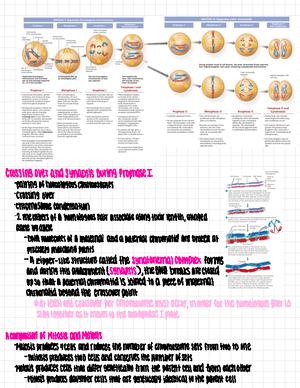 Phlebotomy Safety and Compliance - Regulations that affect laboratory ...