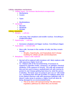 Patho Exam 1 Study Guide - Pathophysiology Exam 1 Study Guide Unit 1 ...