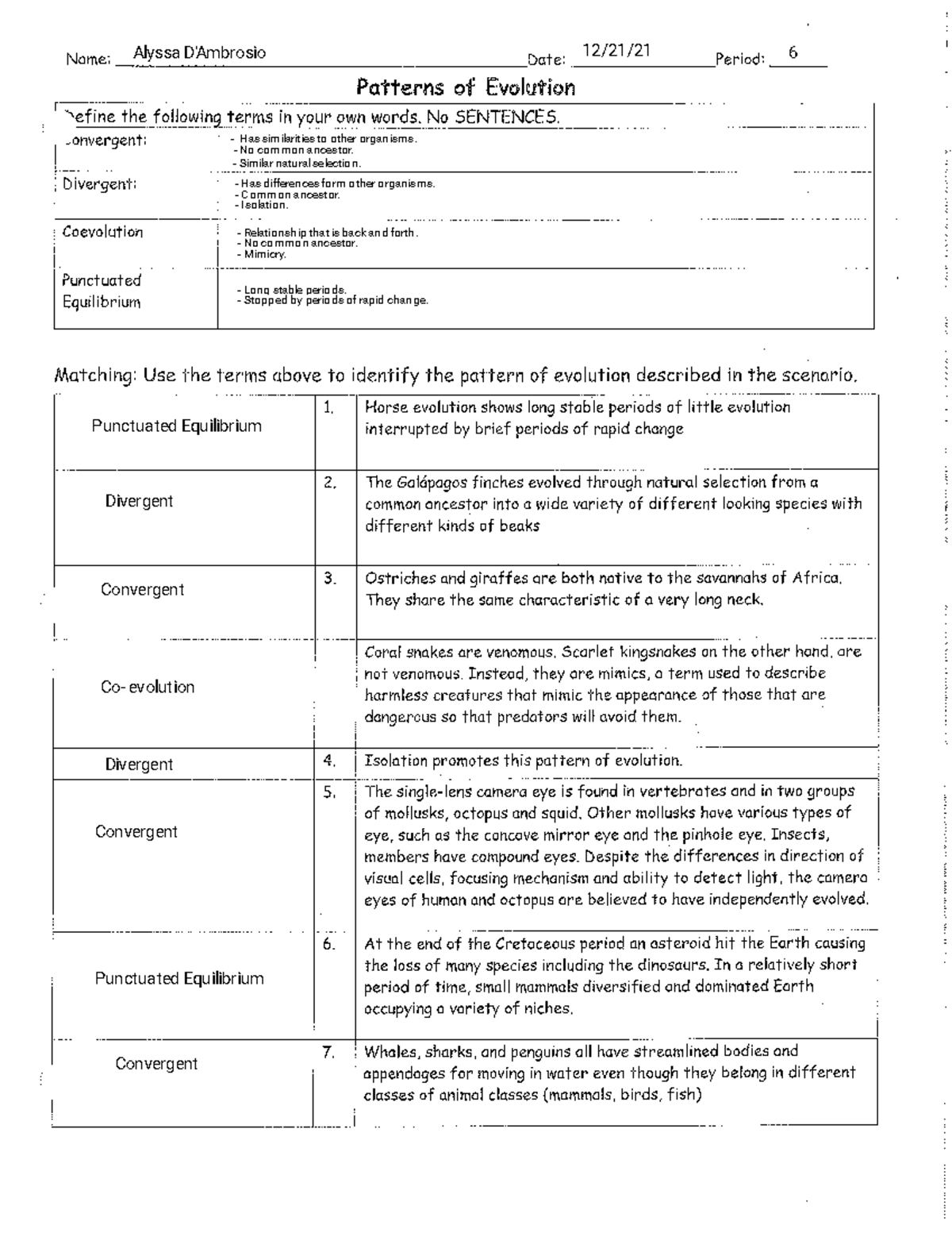Alyssa D'Ambrosio - Patterns of Evolution - Name: Date: Patterns of ...