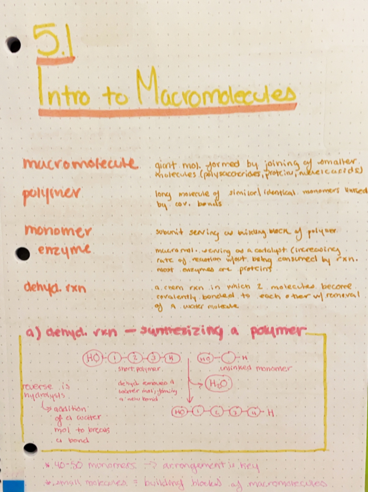 Module Three Notes - Intro to Macromolecules macromolecule giant mo ...