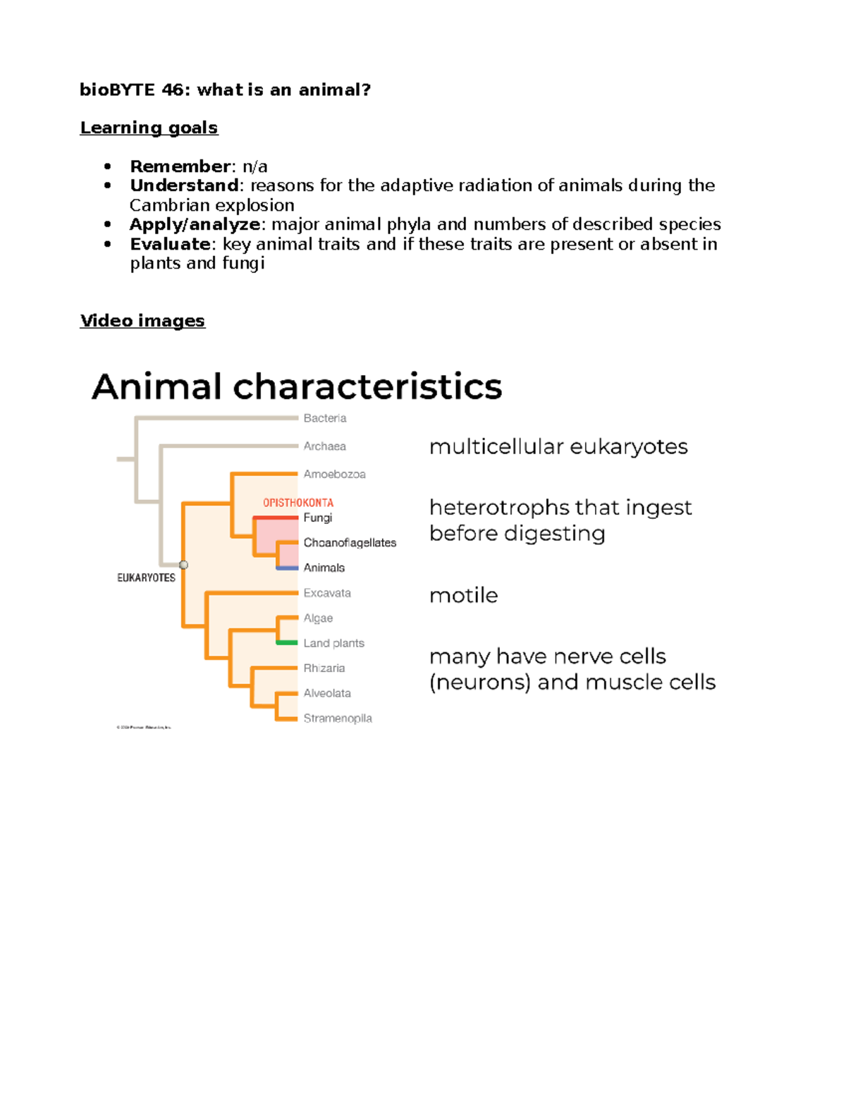 1802.Notes guide.bio BYTE 46 - bioBYTE 46: what is an animal? Learning ...
