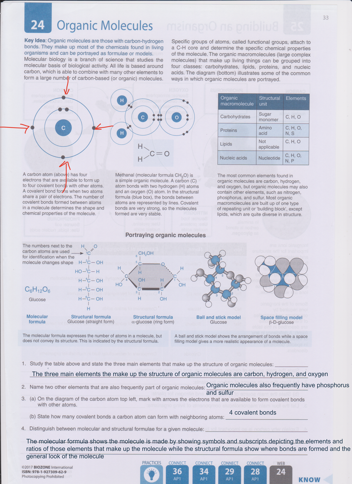 Organic molecules worksheet - Studocu