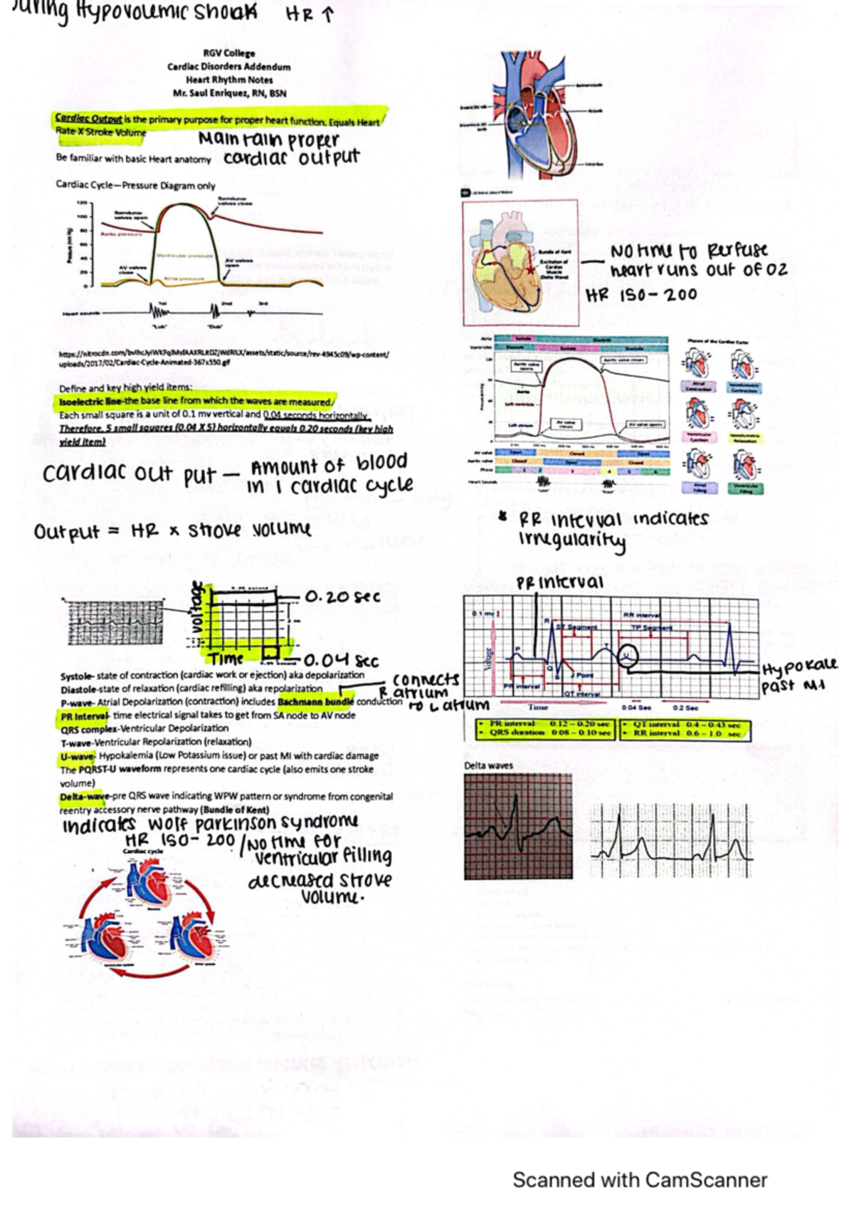 Cardio notes - VNSG 2510 - Studocu