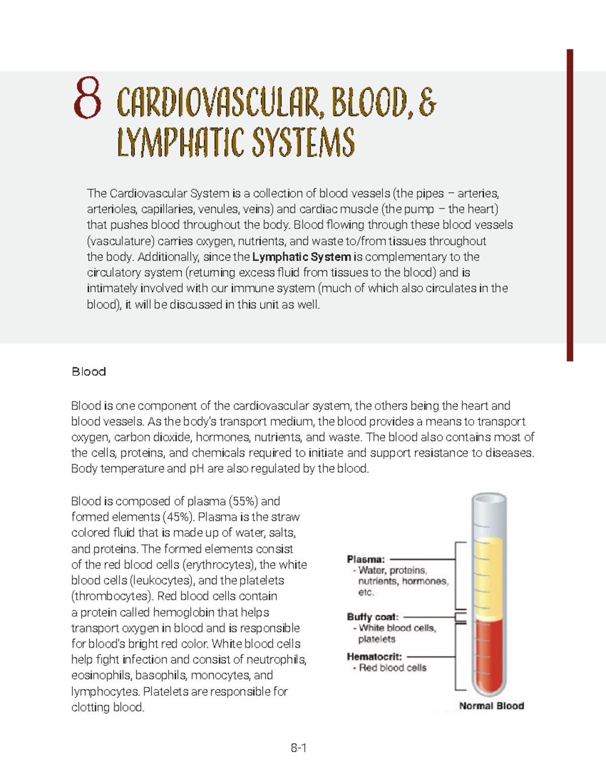 Plasma Circulatory System