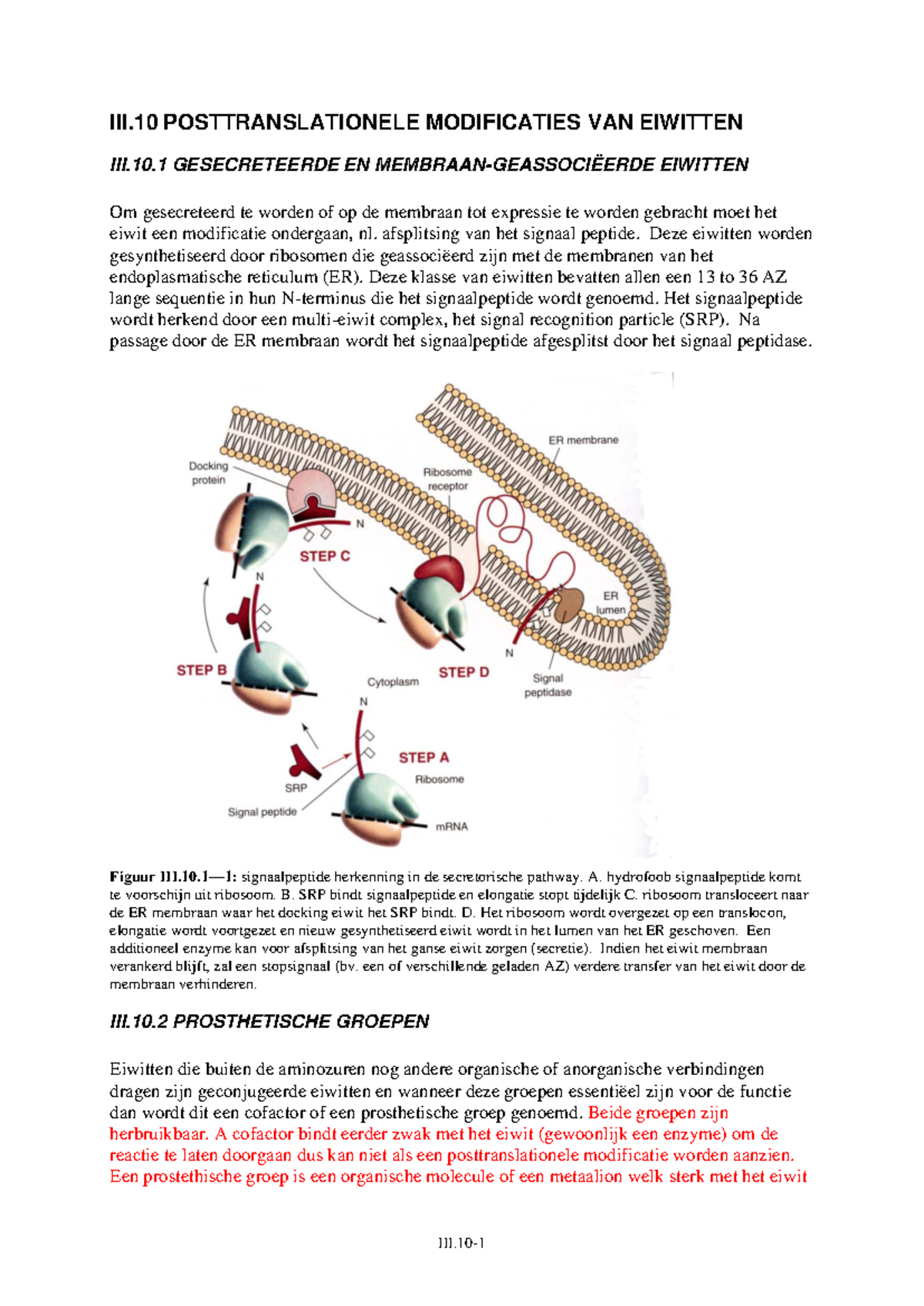 III.10 Posttranslationele modificaties van eiwitten - III ...