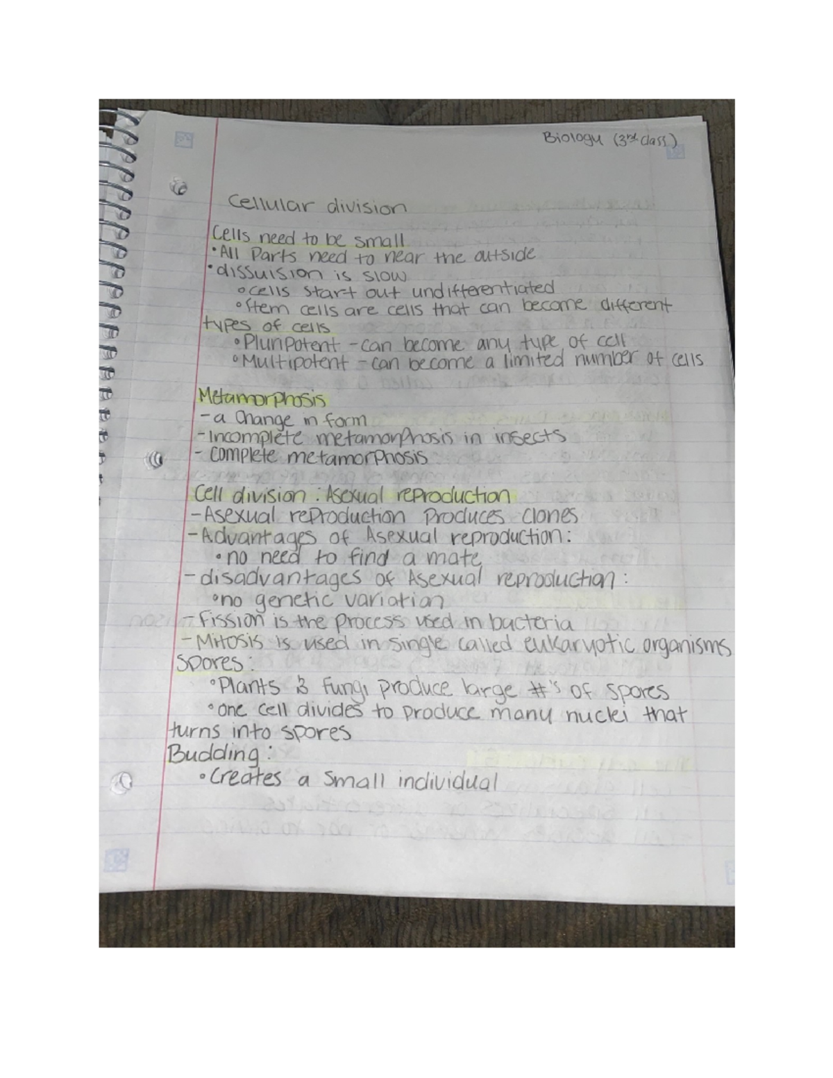 Cellular division notes - BIOS 1010 - Studocu