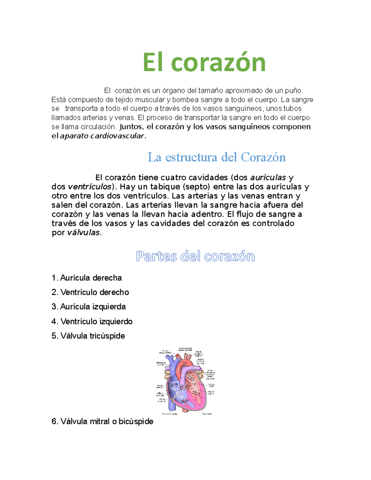 El corazón - wrrfff - El corazón El corazón es un órgano del tamaño ...