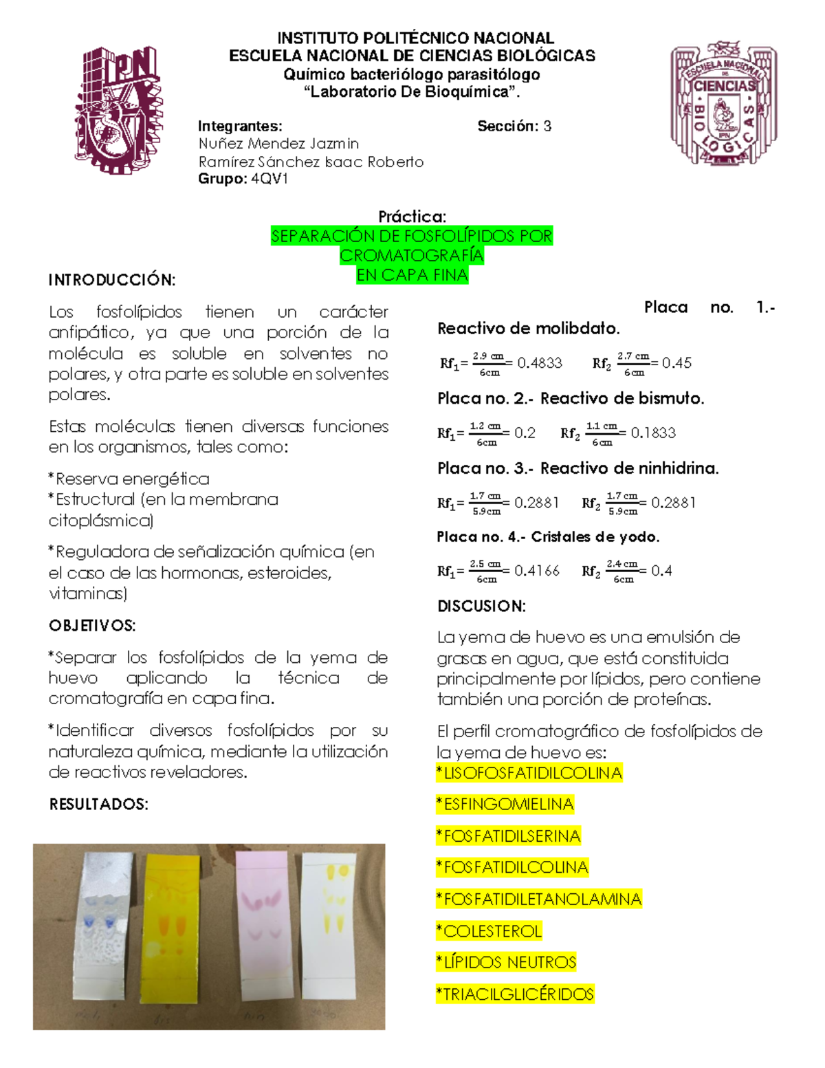 Separacion de fosfolipidos - INTRODUCCIÓN: Los fosfolípidos tienen un ...