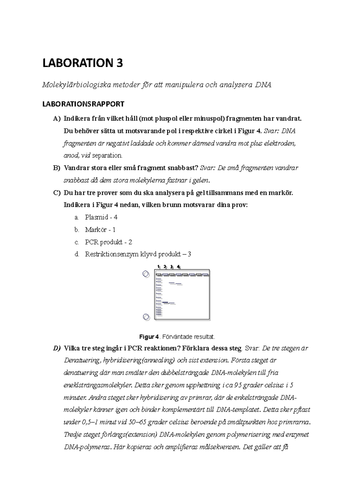 Cay J Lab3 v2 - Laboration biokemi godkänt - LABORATION 3 Molekylärbiologiska metoder för att ...