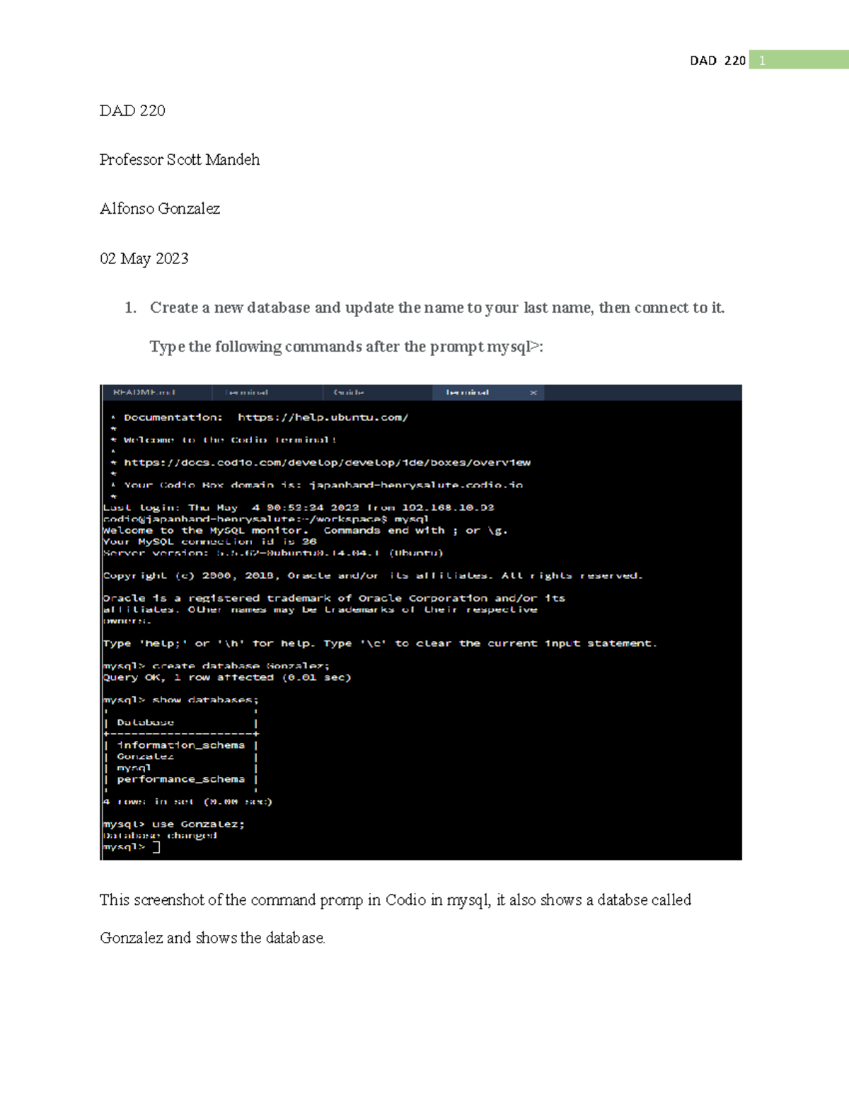 SNHU DAD 220 WEEK 1LAB - Week 1 Lab - DAD 220 Professor Scott Mandeh ...