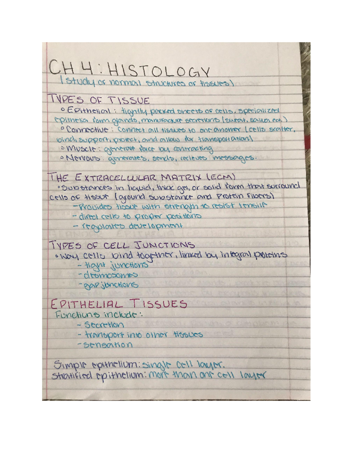 Ch 4 Histology - APHY101 - Studocu