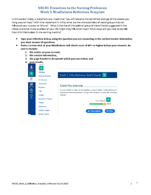 NR103 RUA Transitions Paper V3 Final - Transitions Paper Guidelines ...