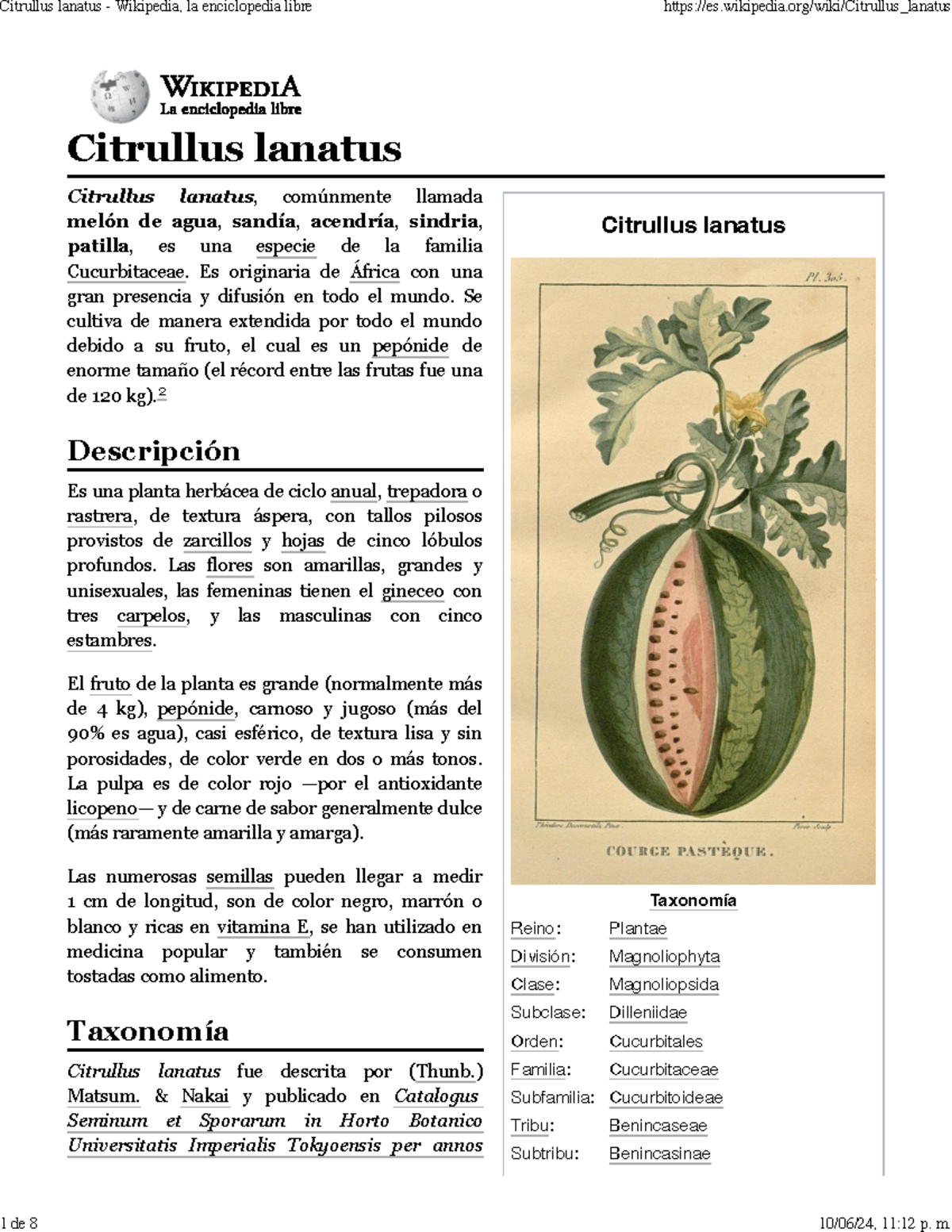 Citrullus lanatus - Wikipedia, la enciclopedia libre - Citrullus lanatus Taxonomía Reino ...