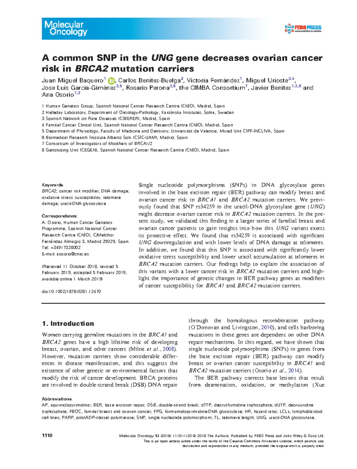 A common SNP in the UNG gene decreases ovarian cancer risk in BRCA2 ...
