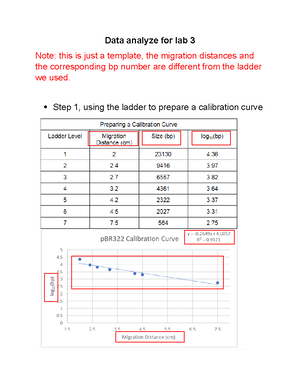 CHM 4304 L Lab 1 - lab report - Dayra Beltran 5993586 Chm 4304L Lab #1 ...