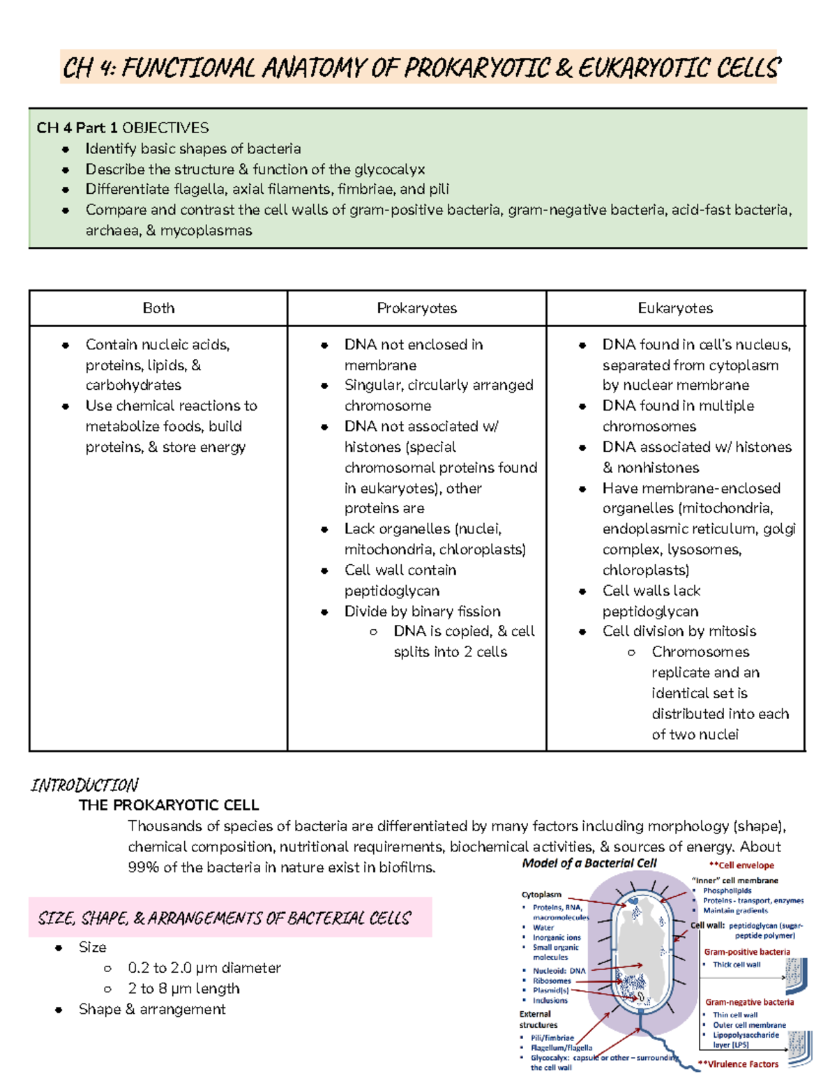 Microbiology lec unit 1 ch 4 - C 4: FUTA ANY OF PORIC & EKOT CES CH 4 ...