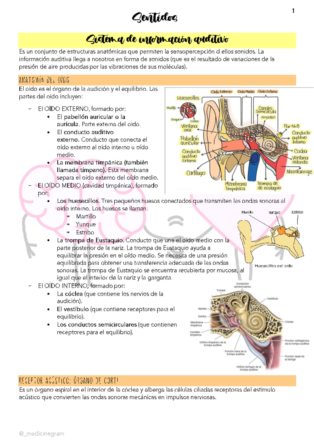 Neuroanatomia TP 9 - Apunte explicativo sobre la irrigacion del cerebro ...