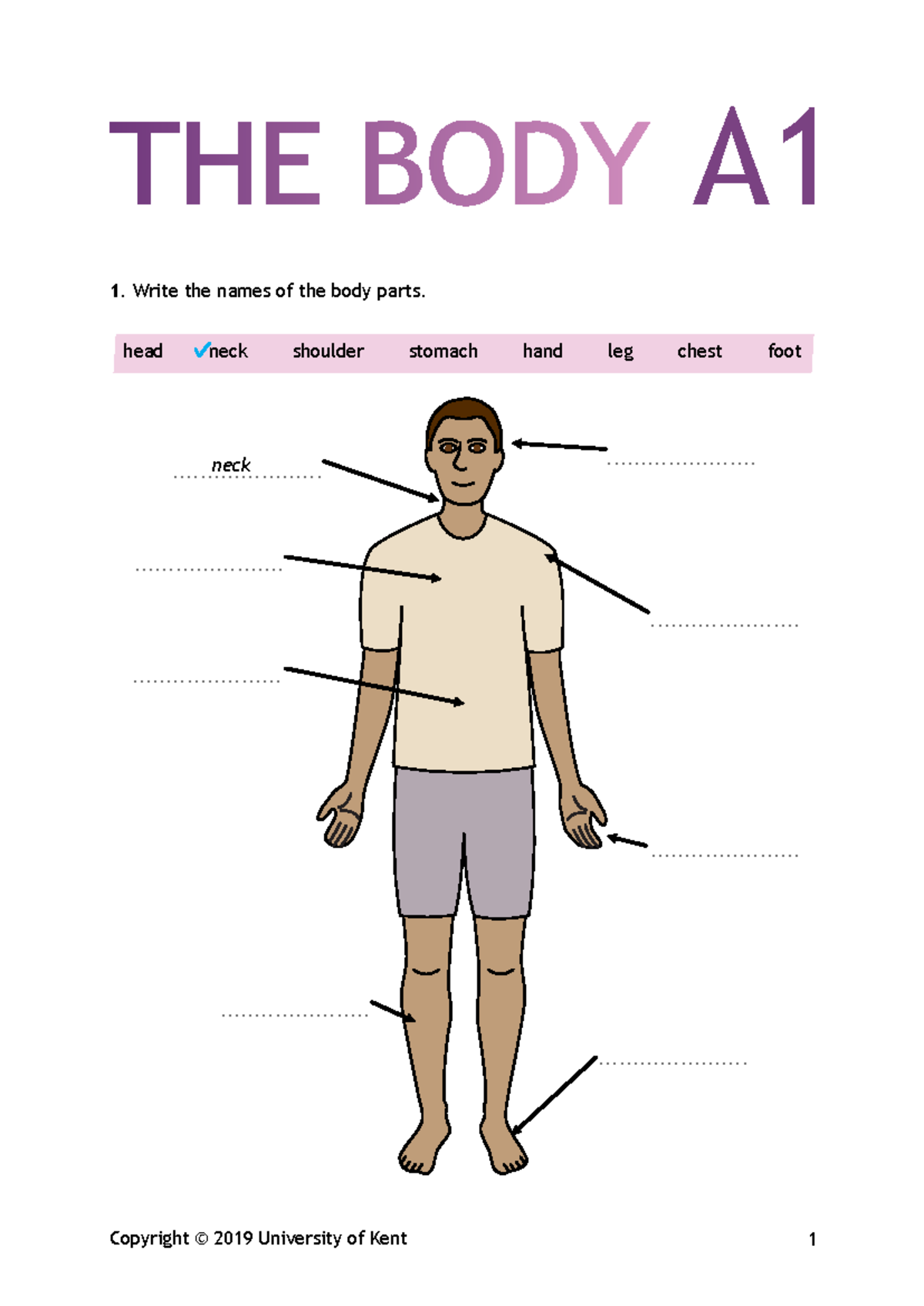 The Body A1 students worksheet - A ...