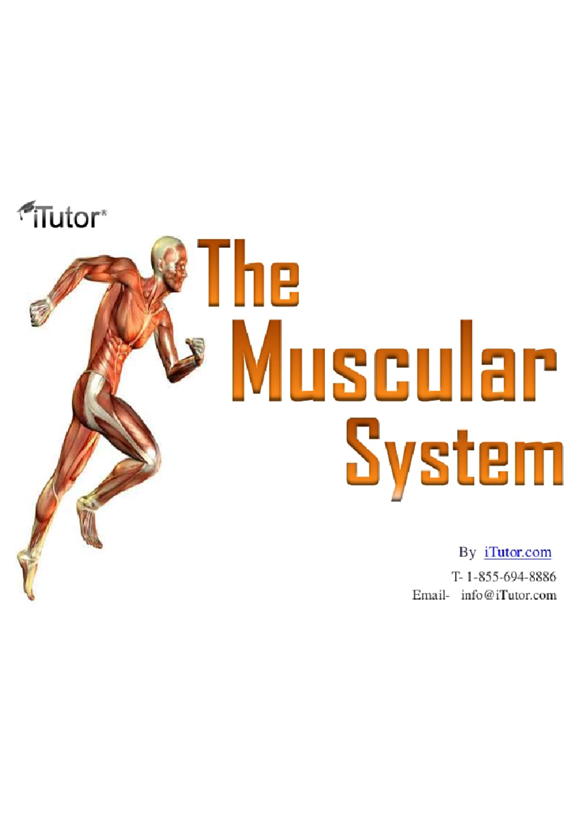 Muscular system - Note - General nursing - Studocu